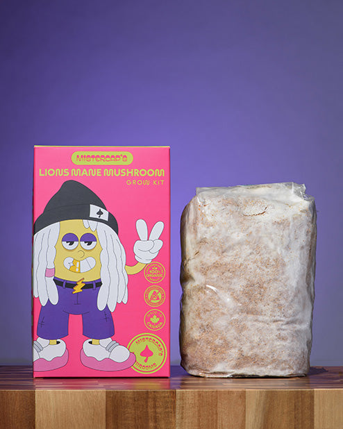 Mistercap's Lions Mane Grow Kit by Wiz Khalifa (Organic) - MISTERCAP'S