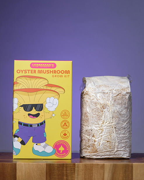 Mistercap's Oyster Mushroom Grow Kit by Wiz Khalifa (Organic) - MISTERCAP'S