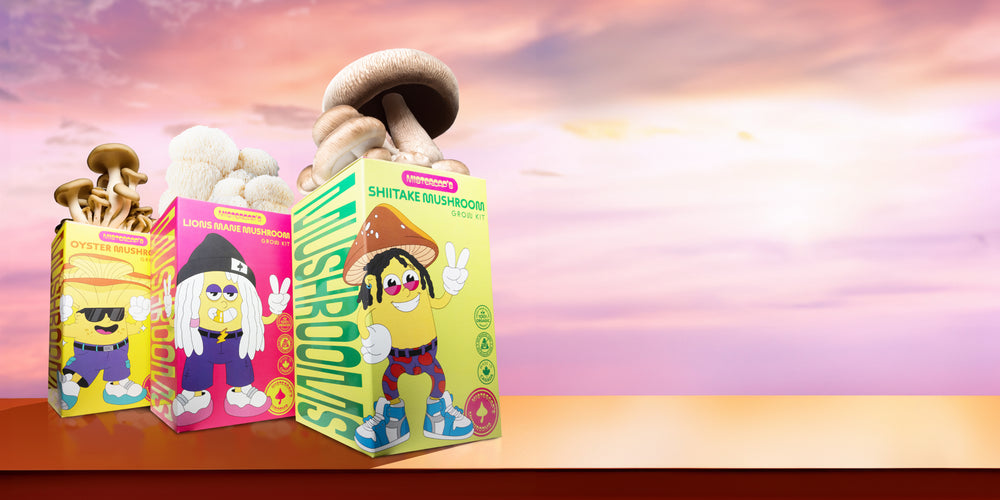 MISTERCAP'S MUSHROOMS