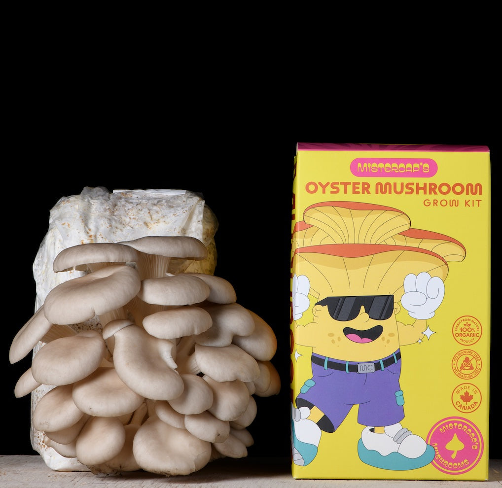 Products - MISTERCAP'S